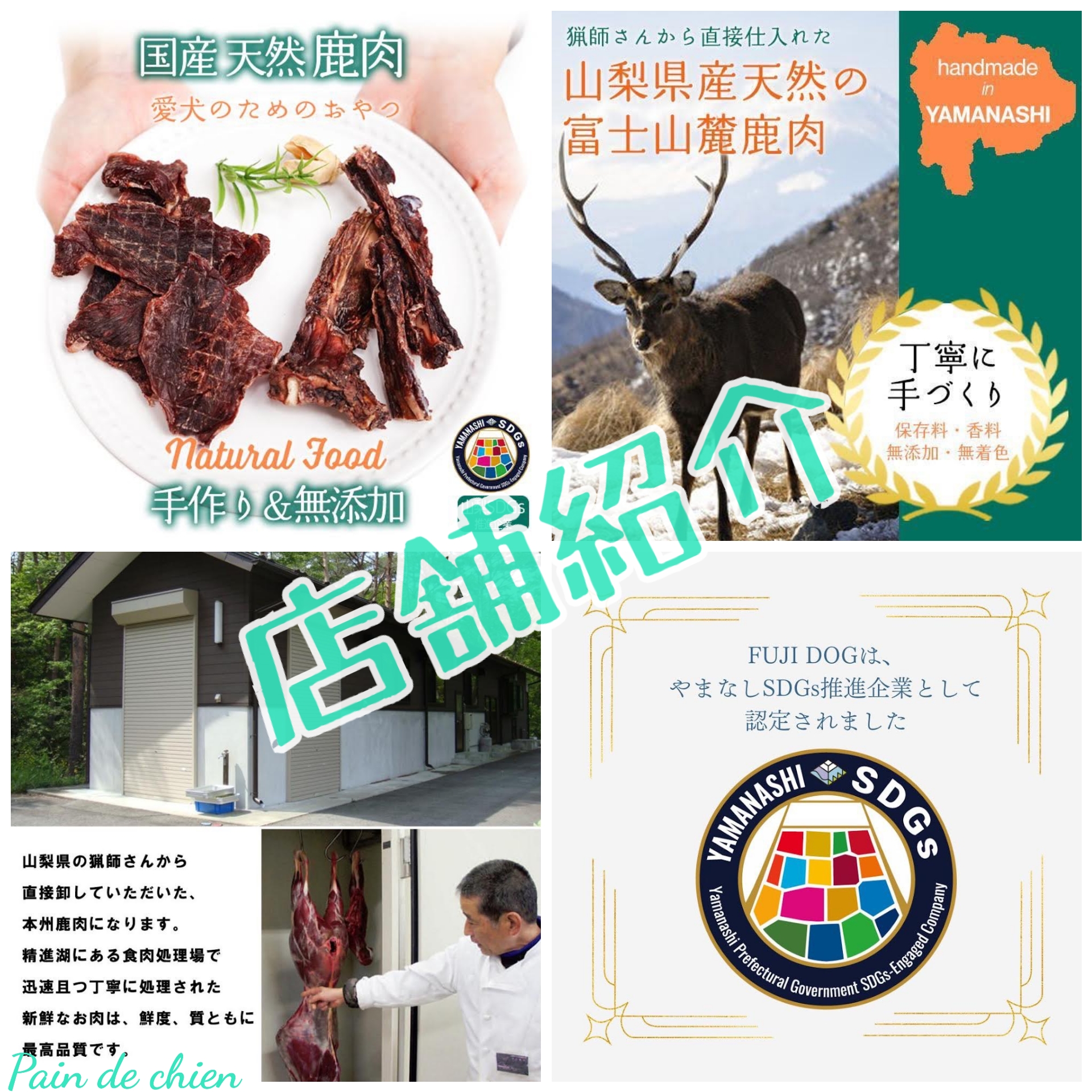 コラボ店舗紹介 FUJI DOG | Pain de chien